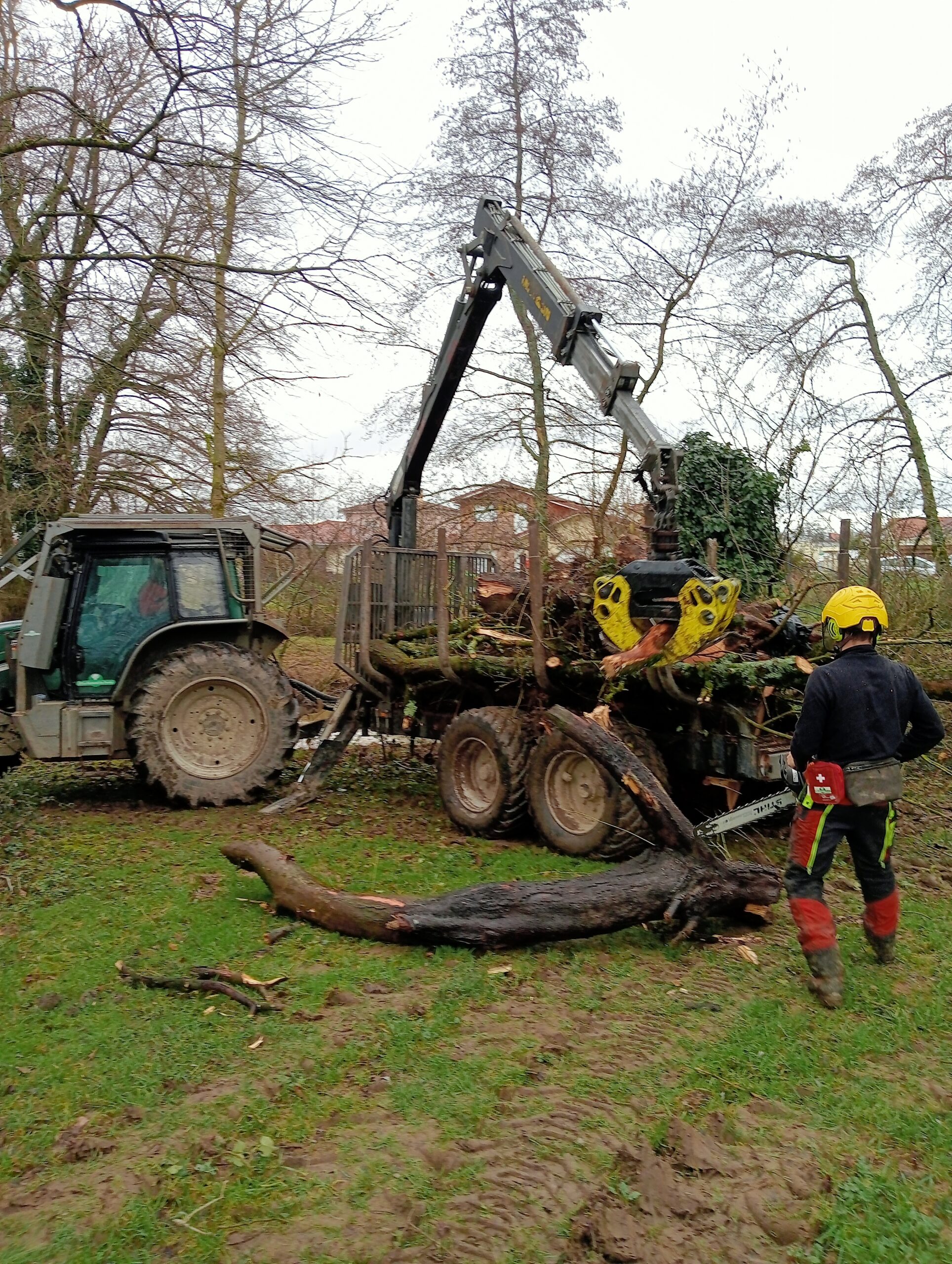 Restauration et entretien des berges : bilan 2024 - Site officiel de ...